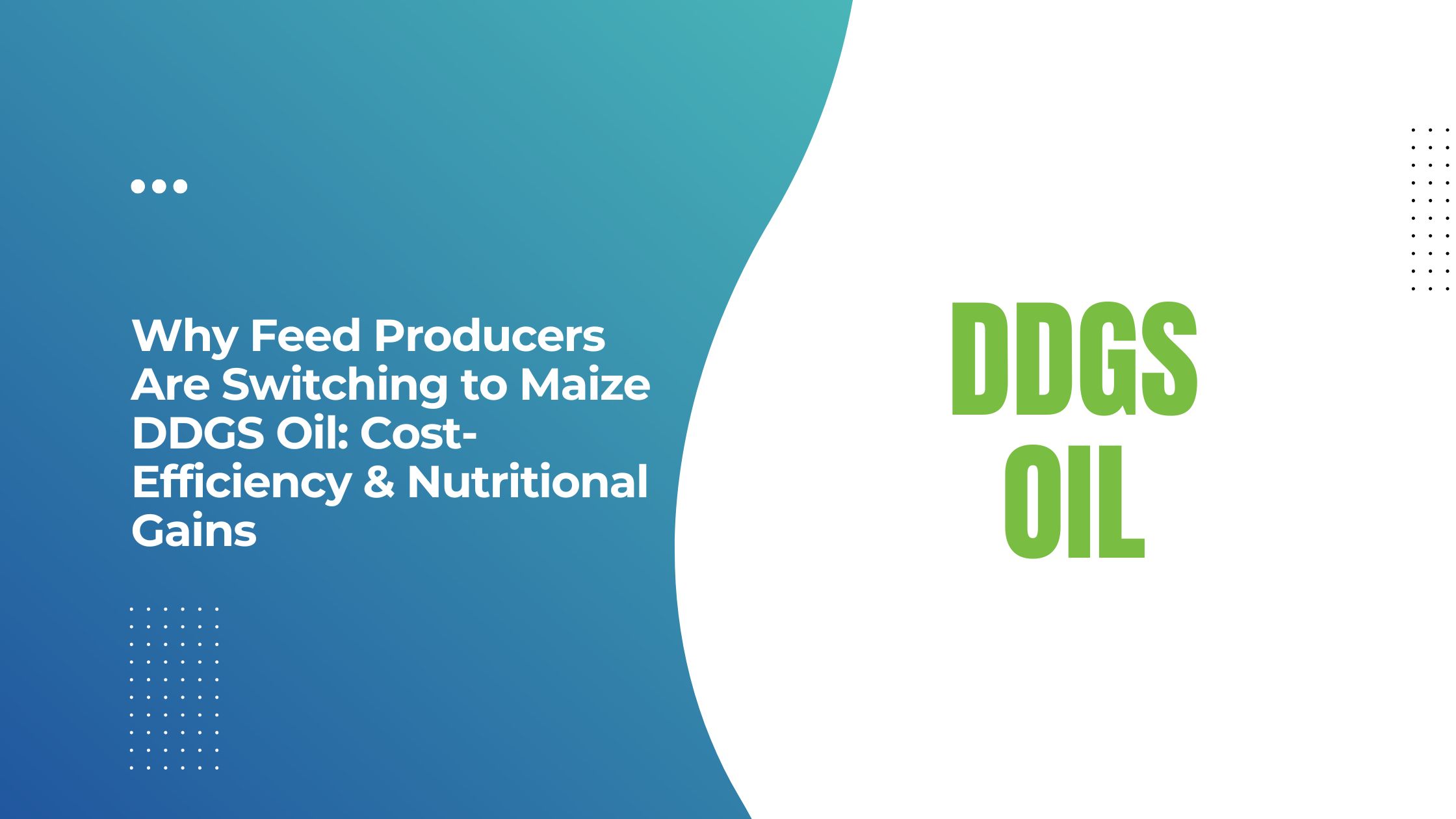 Why Feed Producers Switch to Maize DDGS Oil Suppliers