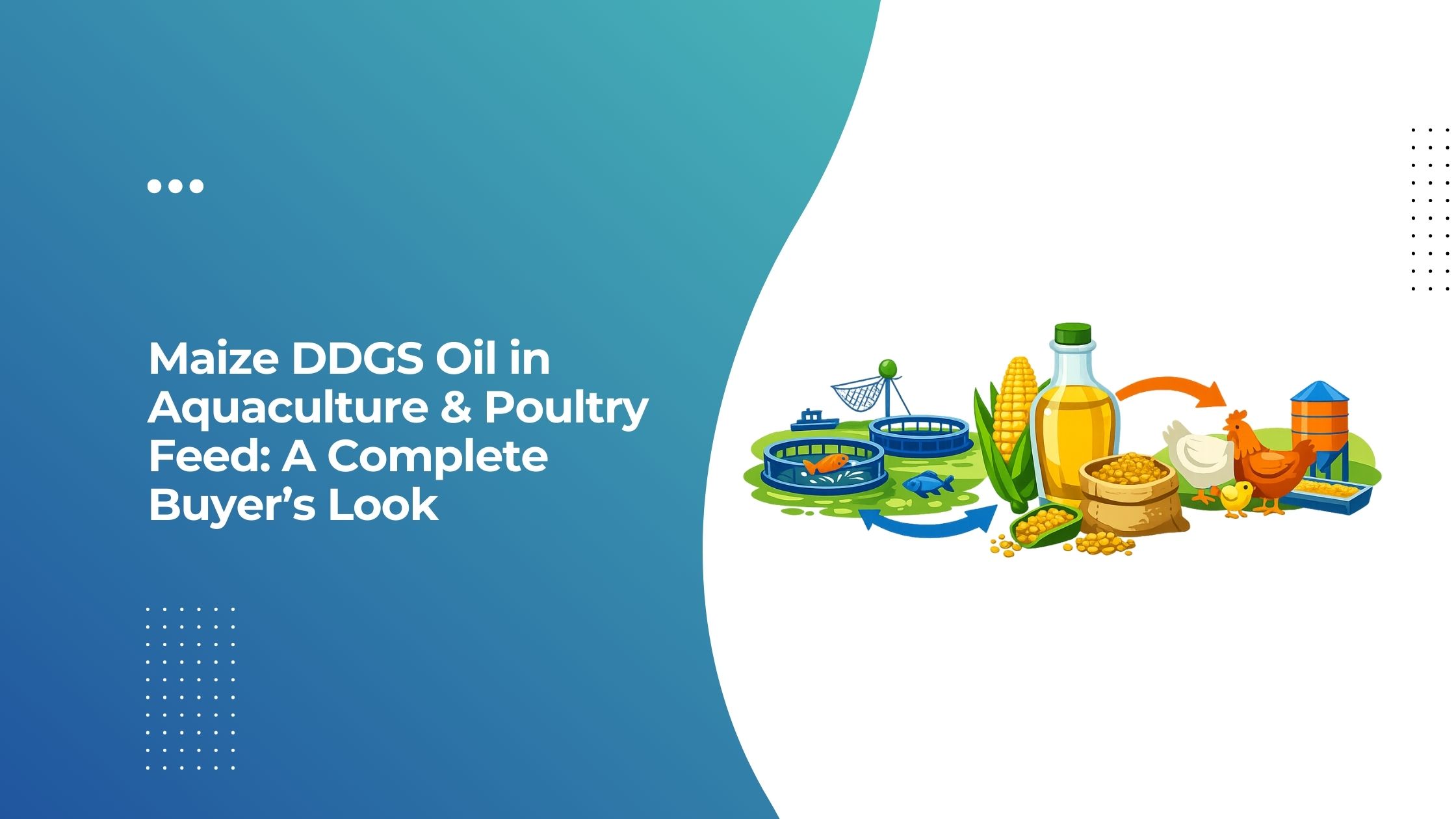 Maize DDGS Oil in Poultry & Aquaculture Feed: Buyer’s Complete Guide